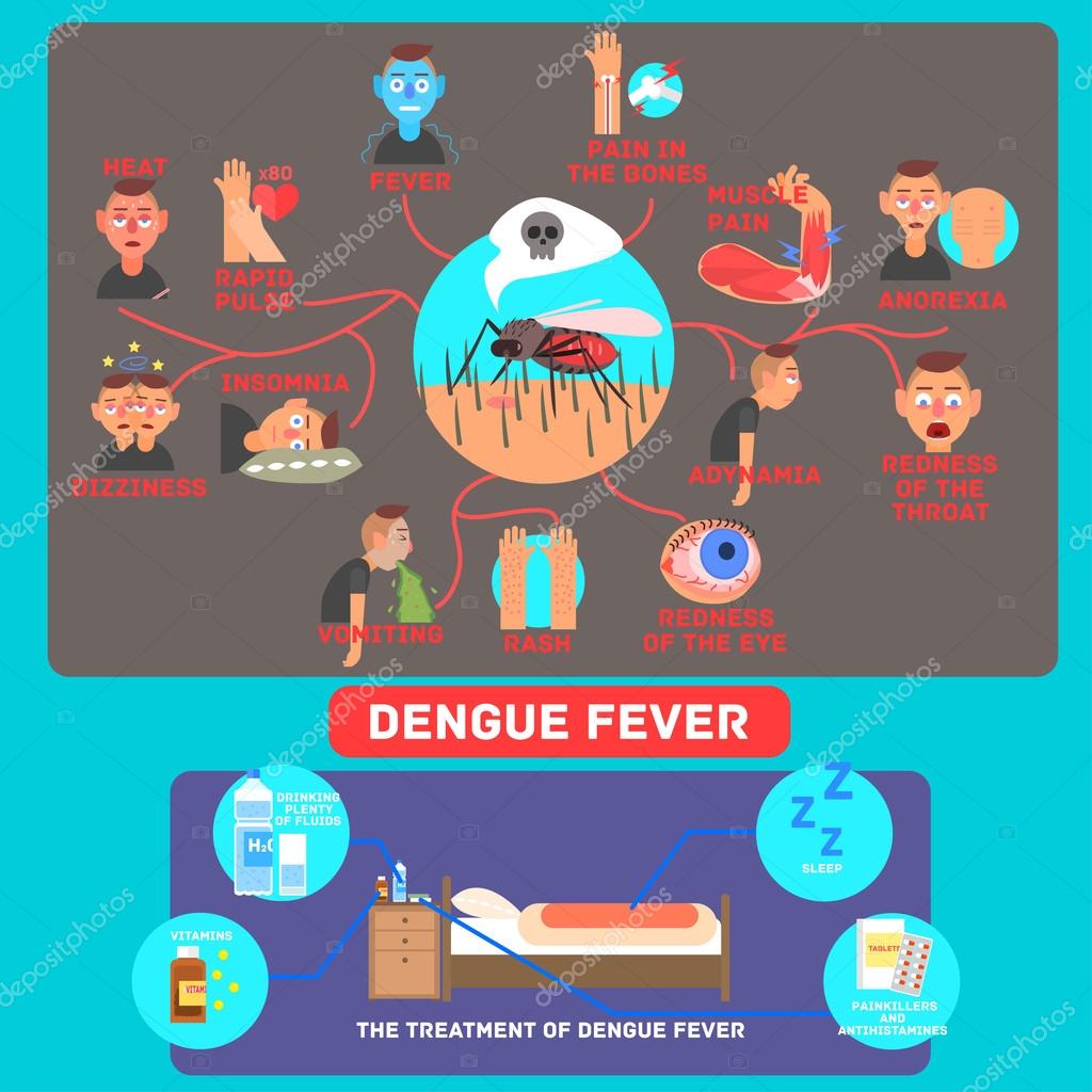 Dengue Fever Infographics. — Stock Vector © TopVectors #95472772 Dengue Fever Infographics. — Stock Vector © TopVectors #95472772