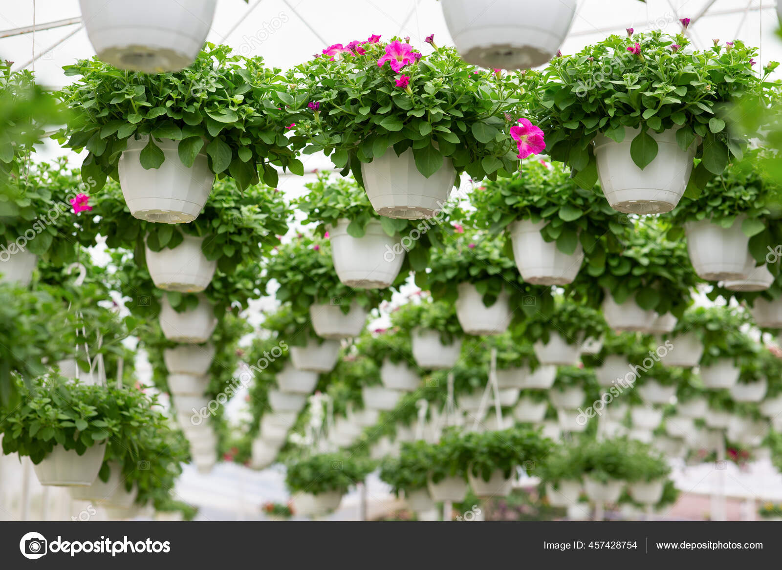 Spring planting and modern business industry of plants — Stock Photo ...