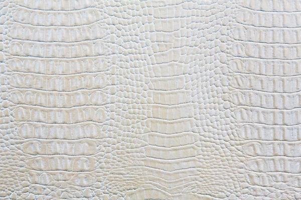 White Crocodile Texture