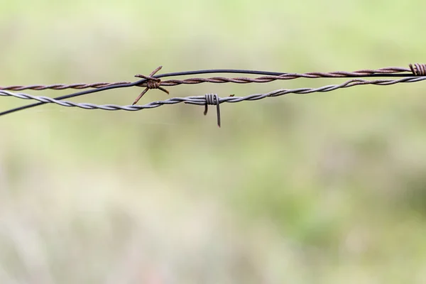 Barbed wire feet Stock Photos, Royalty Free Barbed wire feet Images ...