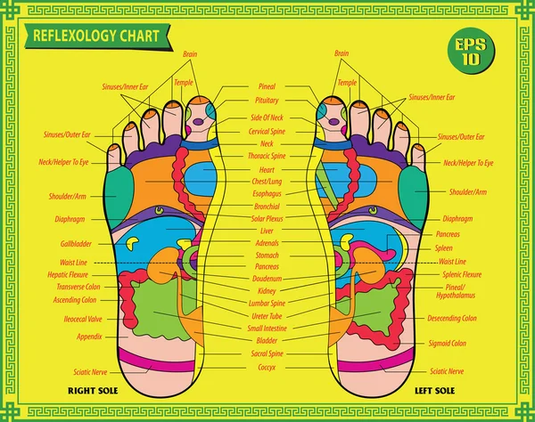 Foot reflexology Stock Vectors, Royalty Free Foot reflexology ...
