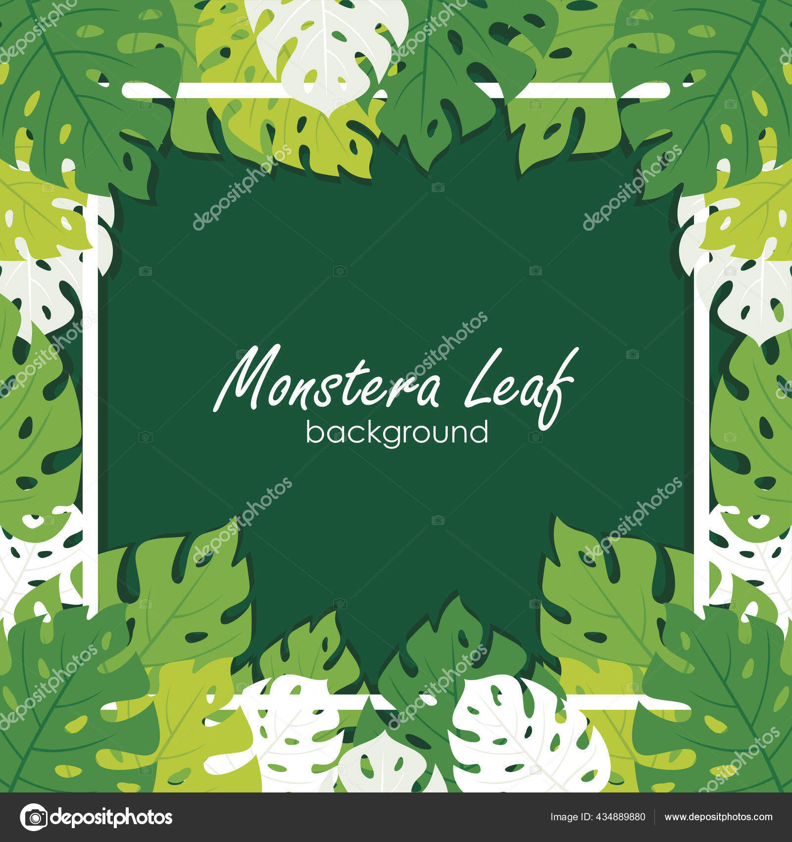 Exotic Tropical Border Frame Monstera Leaves Background Blue Green Pink ...