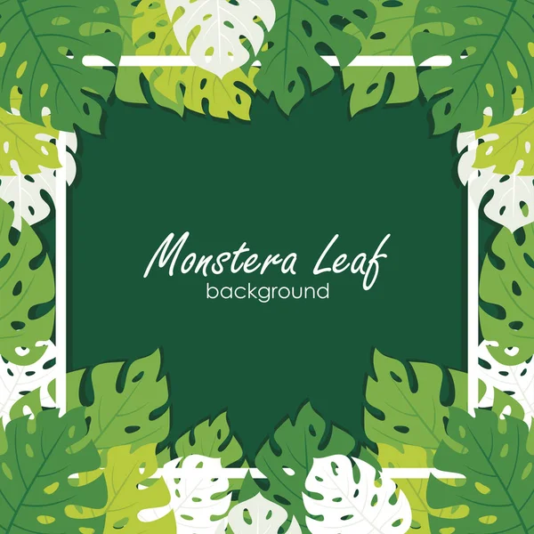 Exotic Tropical Border Frame Monstera Leaves Background Blue Green Pink ...