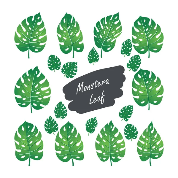 Exotic Tropical Border Frame Monstera Leaves Background Blue Green Pink ...