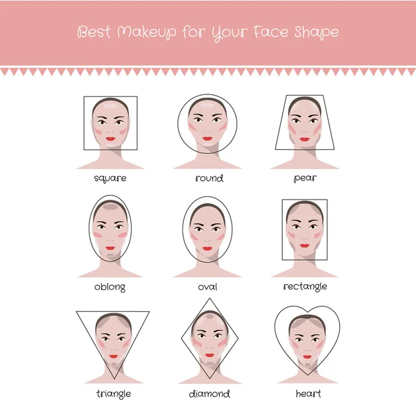 Contouring face shapes Vector Art Stock Images | Depositphotos