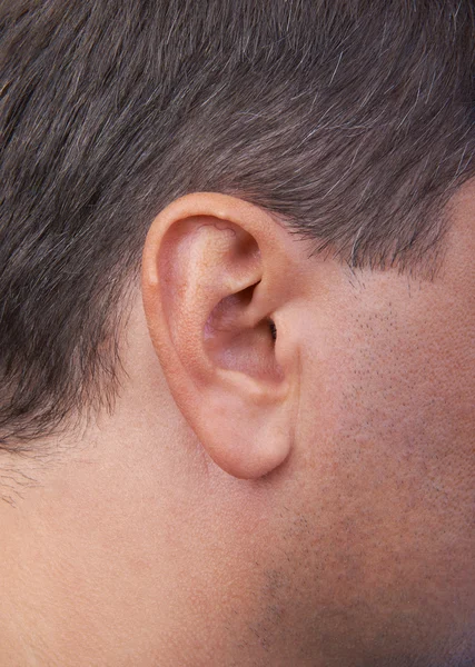 Human ear Stock Photos, Royalty Free Human ear Images | Depositphotos