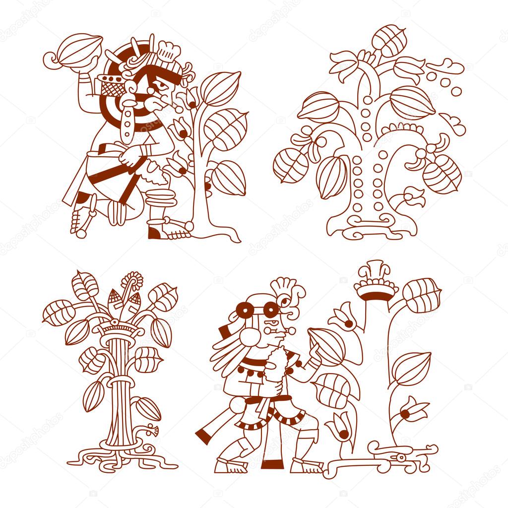Aztec cacao bean, leaves, nibs trees set with decorate borders o Stock ...