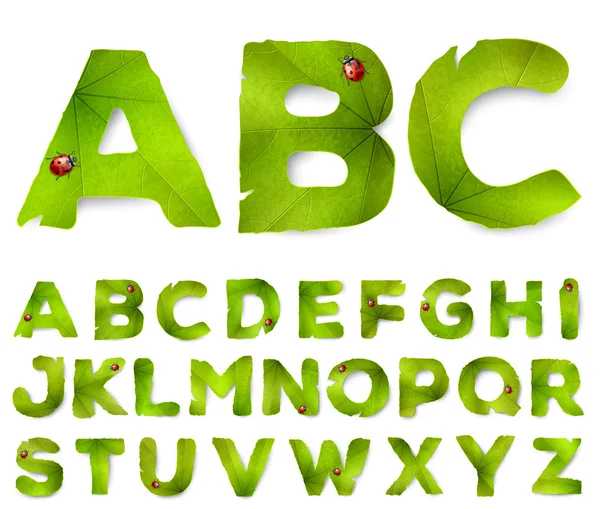 Plant alphabet letters Stock Vectors, Royalty Free Plant alphabet ...