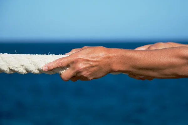 Rope pulling Images - Search Images on Everypixel