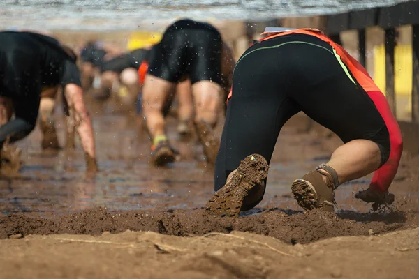 Mud Race Runners Crawling Passing Barbed Wire Obstacles Extreme ...