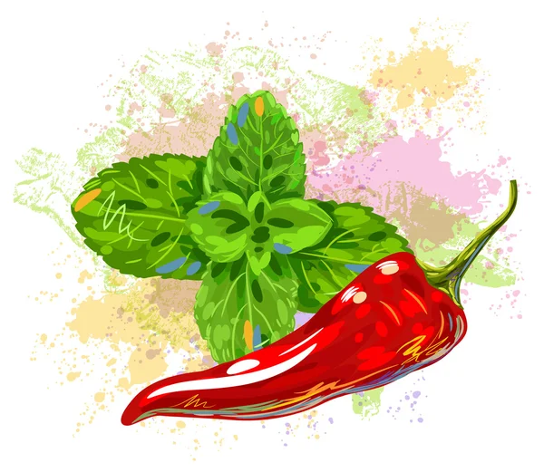 Garlic,mint and chilli — Stock Vector © vedvid_ARTS #62266079