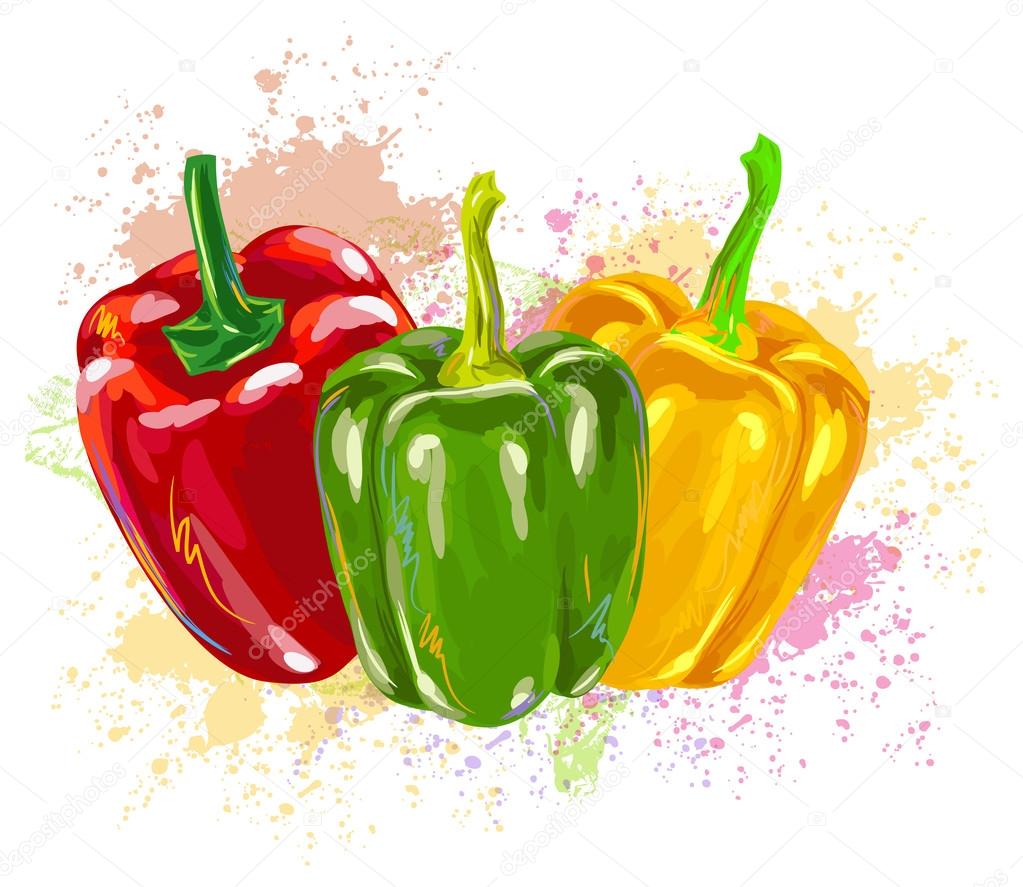Bell Peppers Stock Vector by ©vedvid_ARTS 62265665