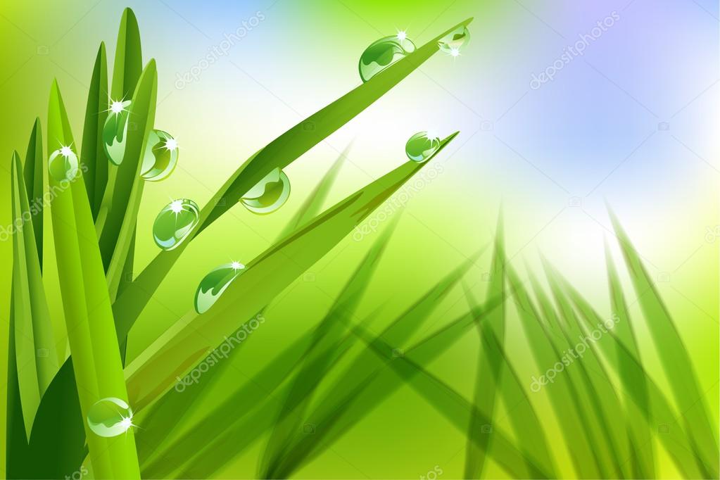 Beautiful Spring Grass Stock Vector Image by ©vedvid_ARTS #62431773