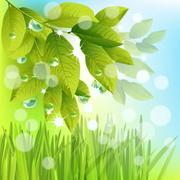 Beautiful Spring Background — Stock Vector © vedvid_ARTS #63075767