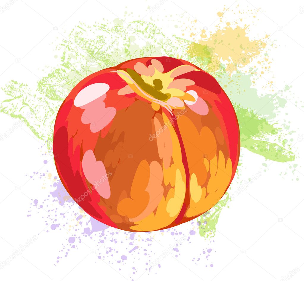 Peach on spots of paint Stock Vector Image by ©vedvid_ARTS #63669875