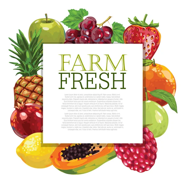 Hand drawn Fruits Frame — Stock Vector © vedvid_ARTS #65803273