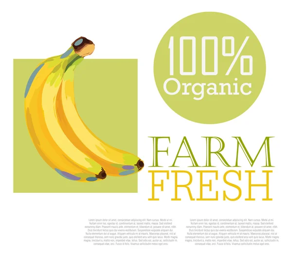 Two bananas Vector Art Stock Images | Depositphotos