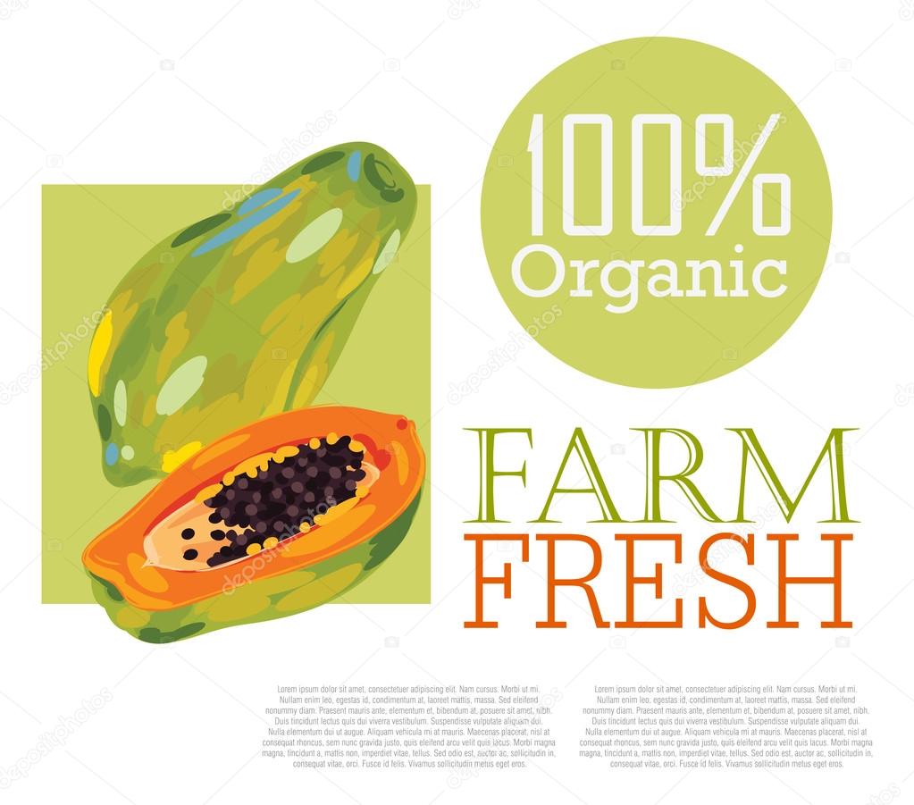 Menu design with Papaya Stock Vector by ©vedvid_ARTS 65803045