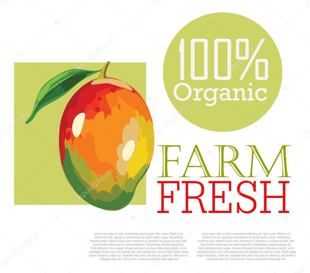 Menu design with Mango Stock Vector by ©vedvid_ARTS 65803085