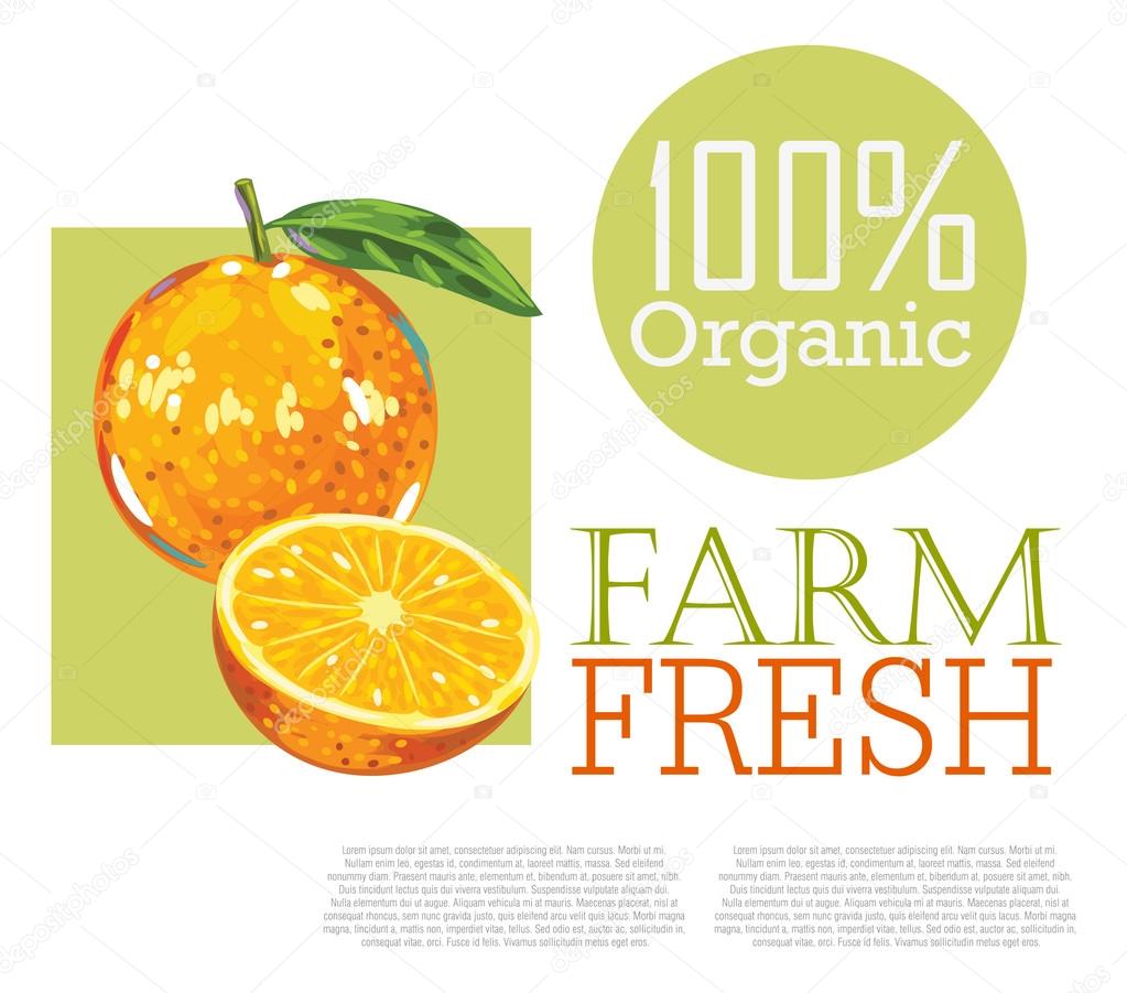 Menu design with Orange Stock Vector Image by ©vedvid_ARTS #65803257