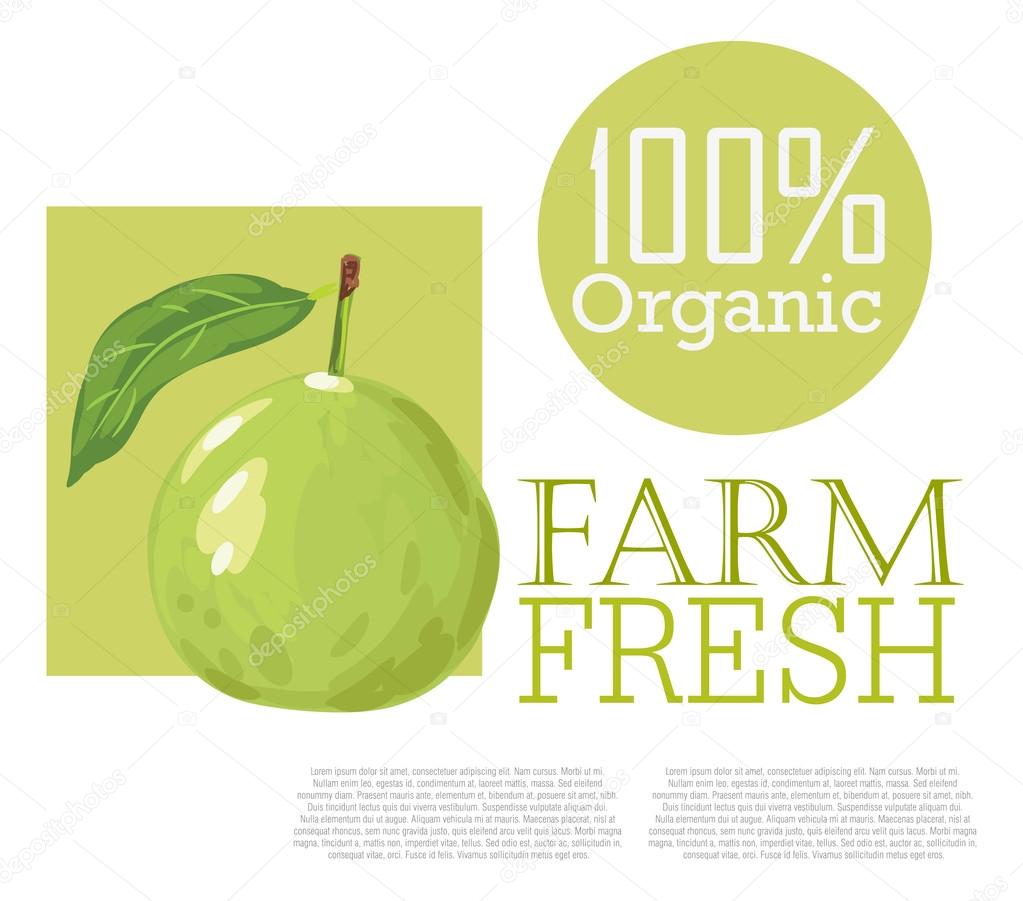 Menu design with Guava Stock Vector Image by ©vedvid_ARTS #65803367