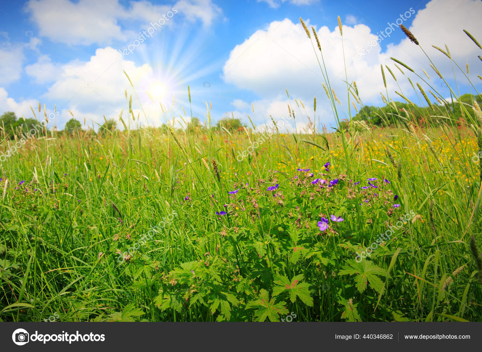 Spring field and blue sky with big clouds and sun. — Stock Photo ...