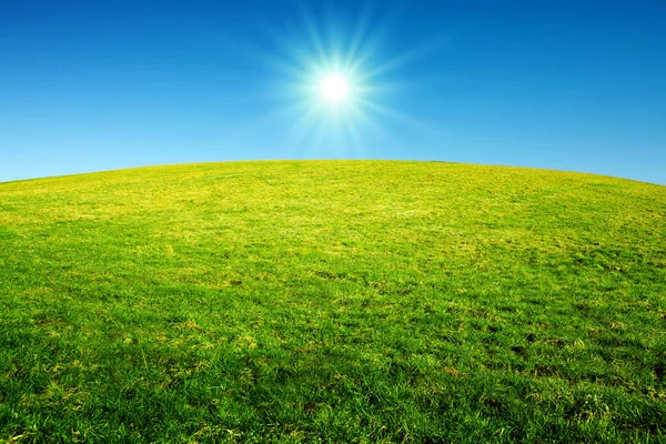 Green landscape sun Stock Photos, Royalty Free Green landscape sun ...