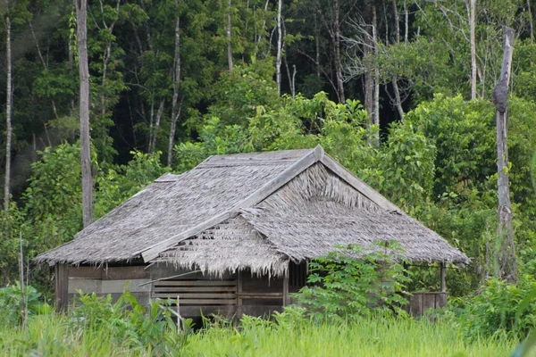 This house in the forest is a building for the Wano tribe ...
