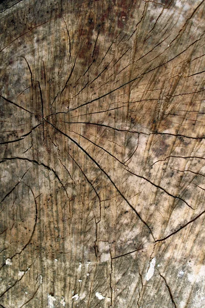 Neolithic art images libres de droit, photos de Neolithic art ...