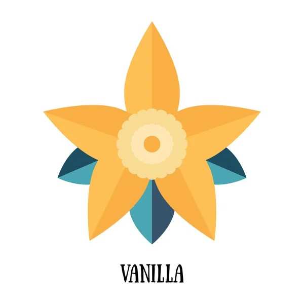 Vanilla icon pod Vector Art Stock Images | Depositphotos