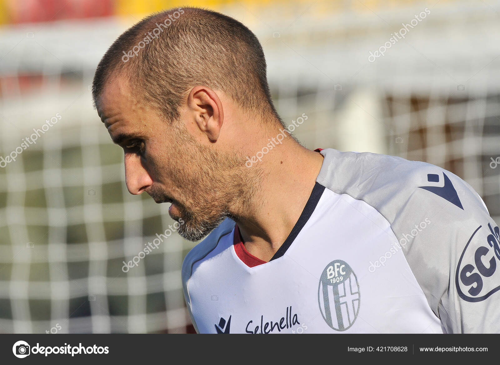 Rodrigo Palacio Player Bologna Match Italian Serie Championship ...