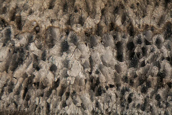 Calcite Crystals Microscope Polarized Light Stock Photo by ©ChWeiss ...