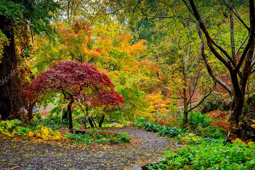 Autumn trees in the park — Stock Photo © moisseyev #81666494