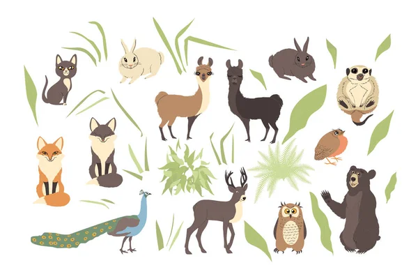 Grassland animals Stock Photos, Royalty Free Grassland animals Images ...