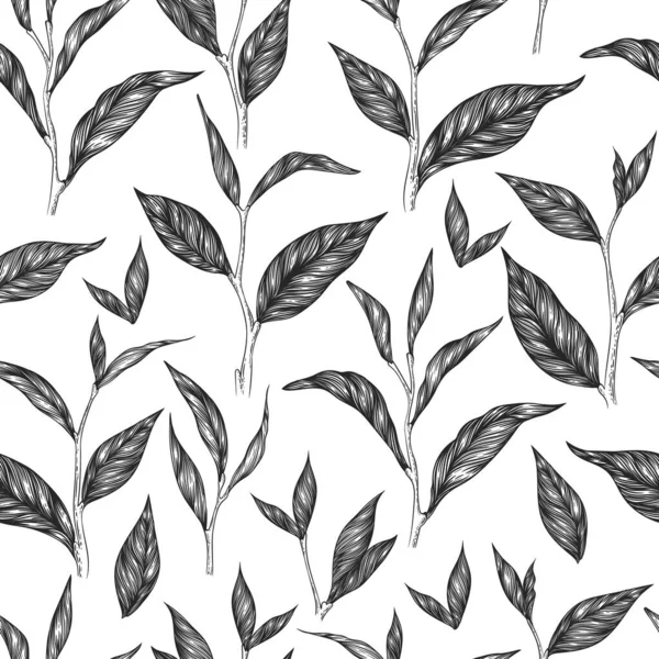 Black Tea Leaves Vector