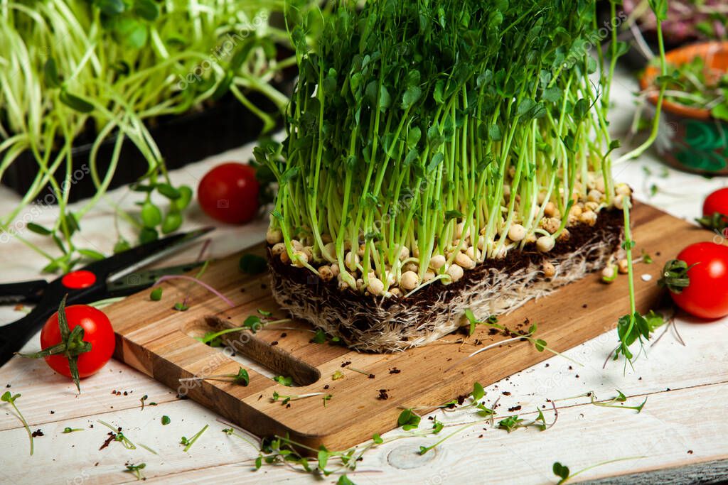 Micro greens perfectos vegetales frescos, hierbas y verduras con altos ...