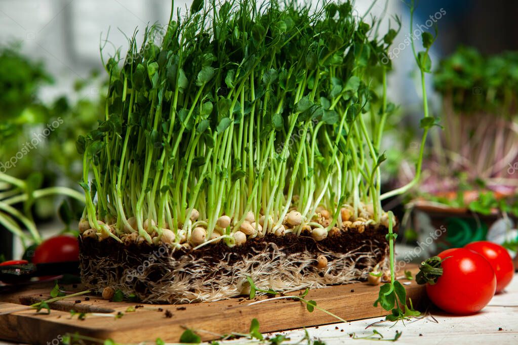 Micro greens perfectos vegetales frescos, hierbas y verduras con altos ...