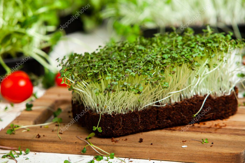 Micro greens perfectos vegetales frescos, hierbas y verduras con altos ...