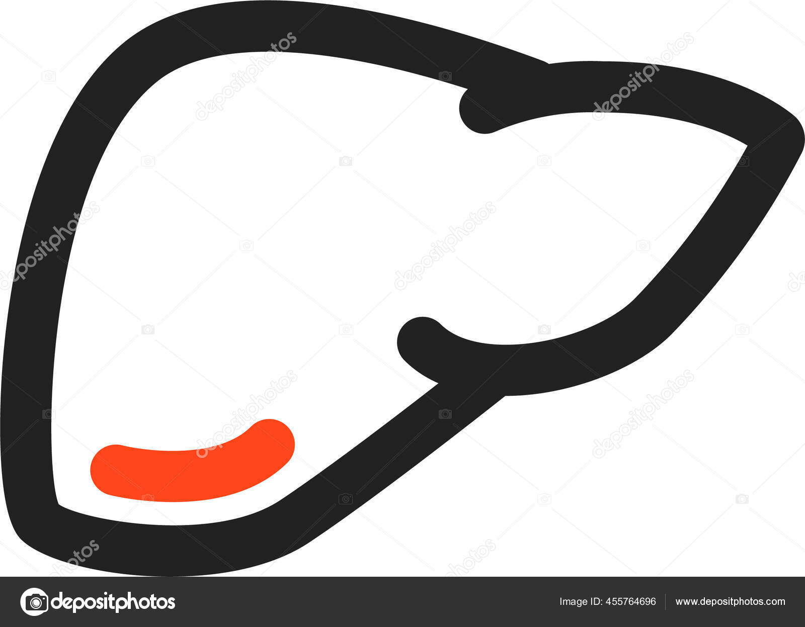 Liver Icon Vector Illustration Isolated White Background Stock Vector ...