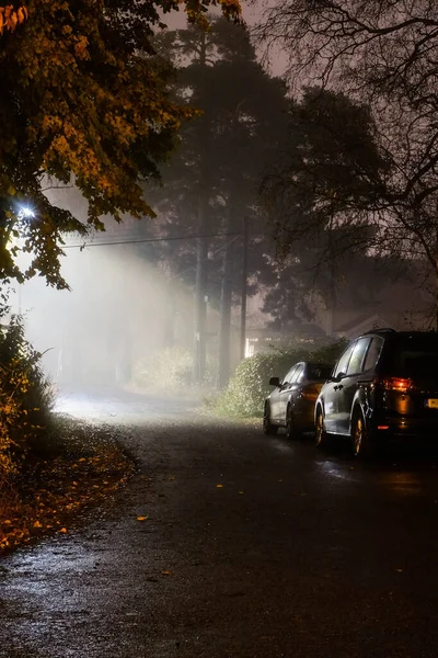 Foggy October night. Fog is highlighted with street lights. Beautiful ...