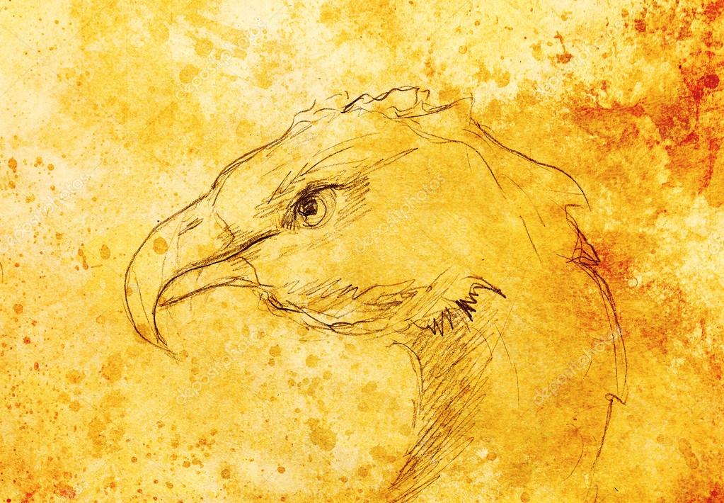 Drawing of Bird. computer collage and color structure. Stock Photo by ...