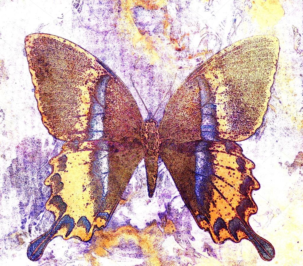 Color butterfly, illustration and mixed medium, abstract background ...