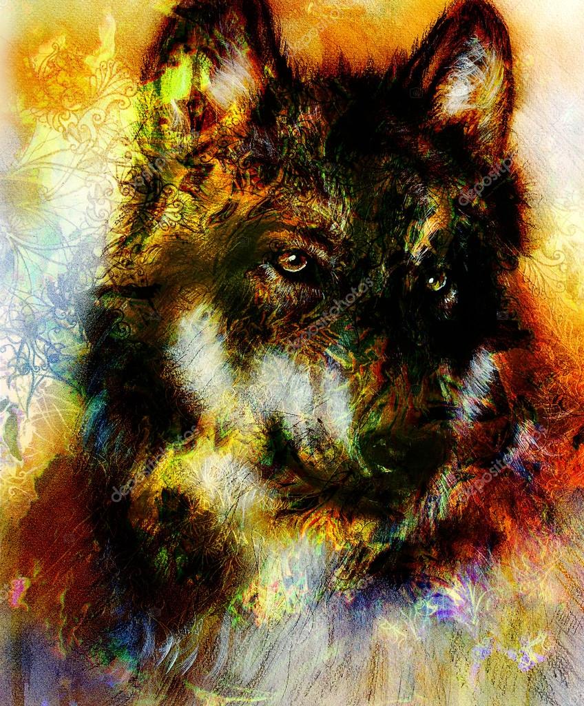 Wolf painting, color background on paper , multicolor illustration ...