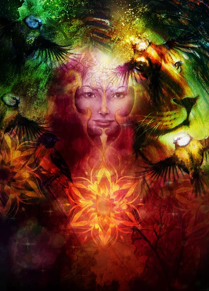 Tatuaggio fenice: картинки, стокові Tatuaggio fenice фотографії ...