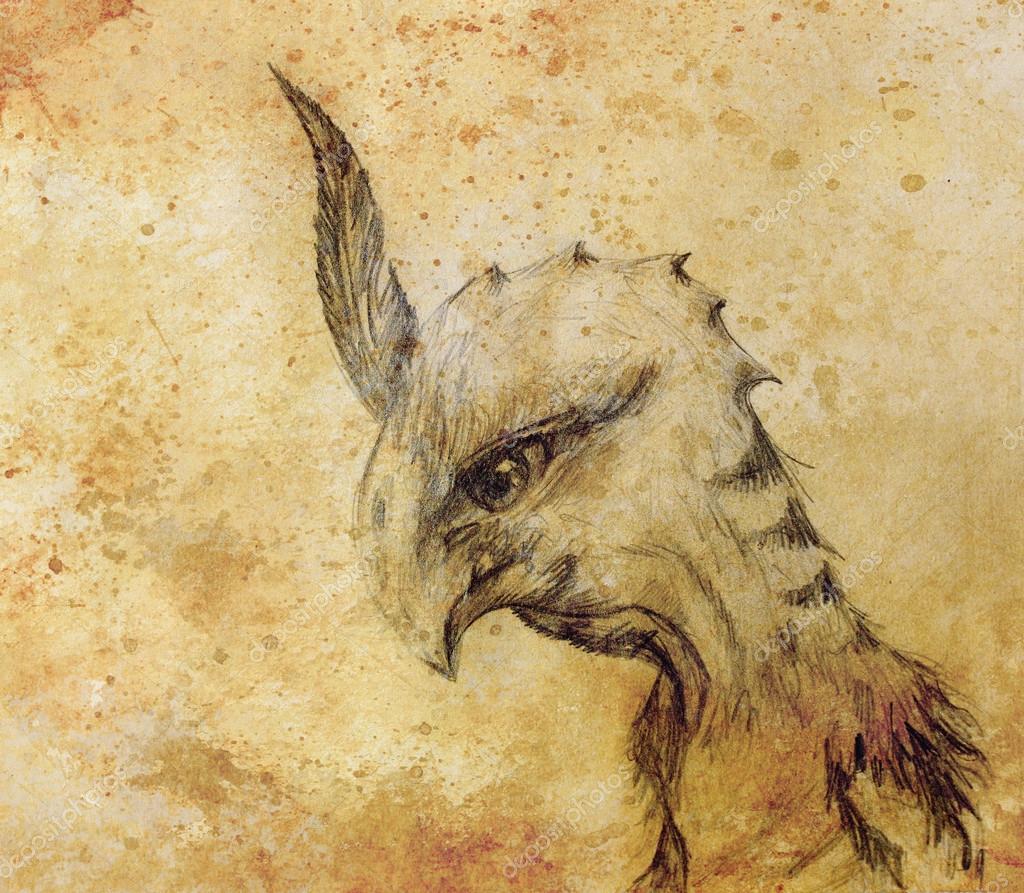 Pencil drawing bird dragon on old paper background. — Stock Photo ...