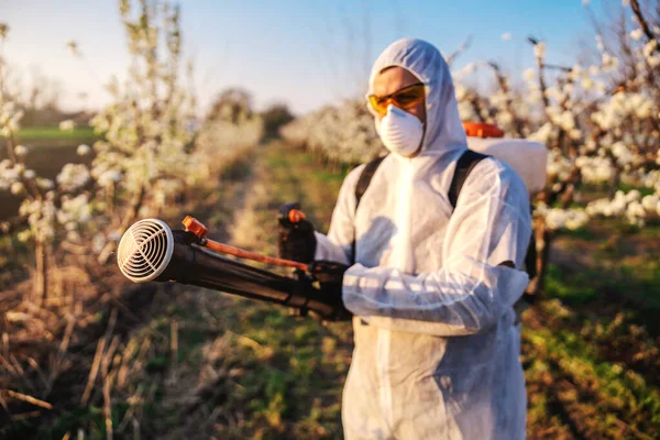 Fruit grower in protective suit and mask walking trough orchard with ...