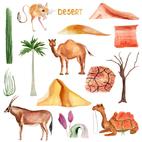 Desert Animal Clipart