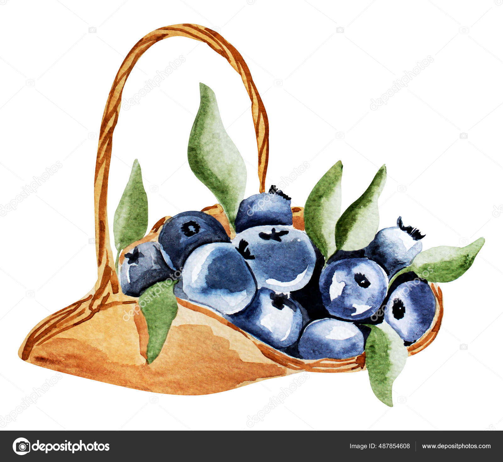 Blueberry Template