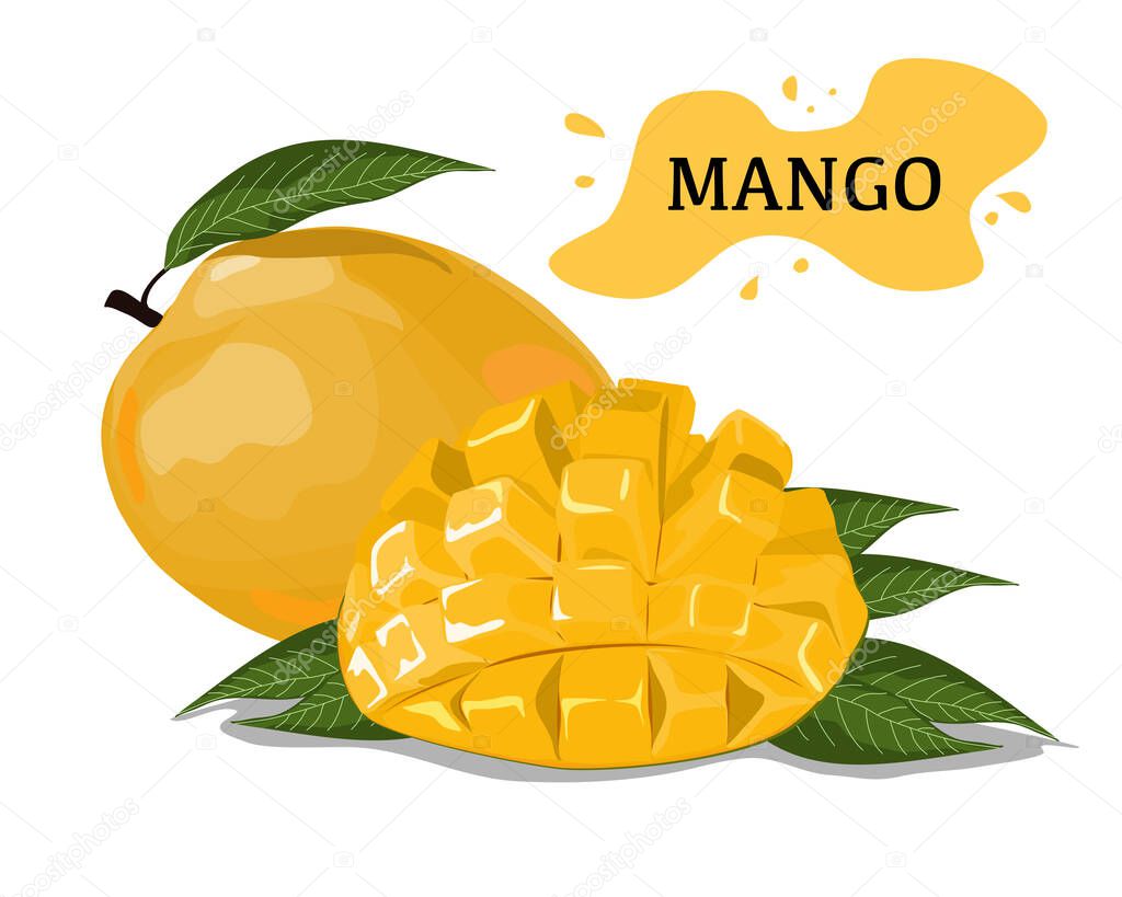 conjunto de frutas de mango, mango entero y corte de mango con hojas y texto sobre fondo blanco ...