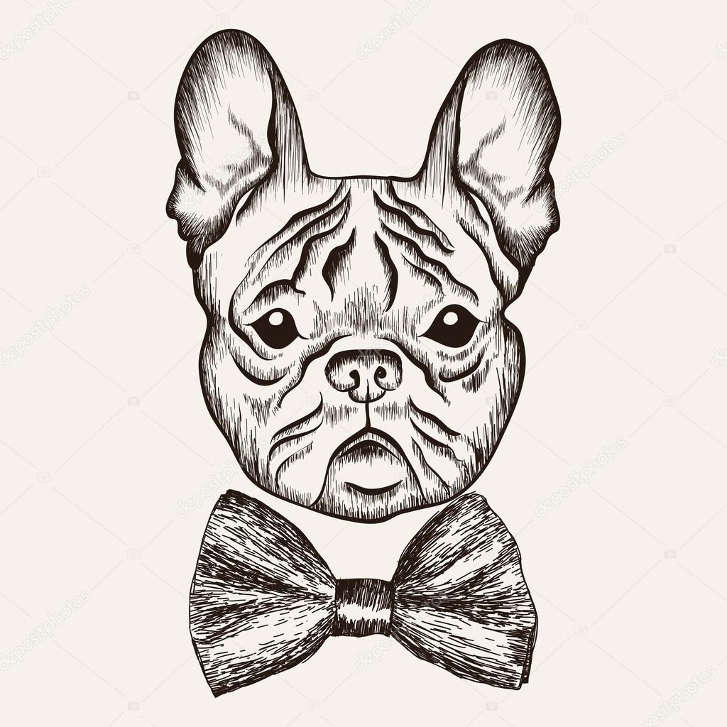 Sketch French Bulldog with bow tie. — Stock Vector © i_panki #69920645